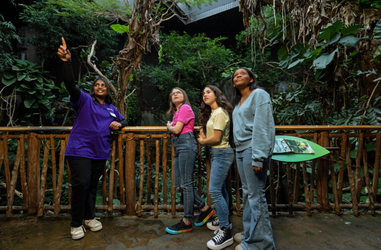 Home - Discovery Place Museums