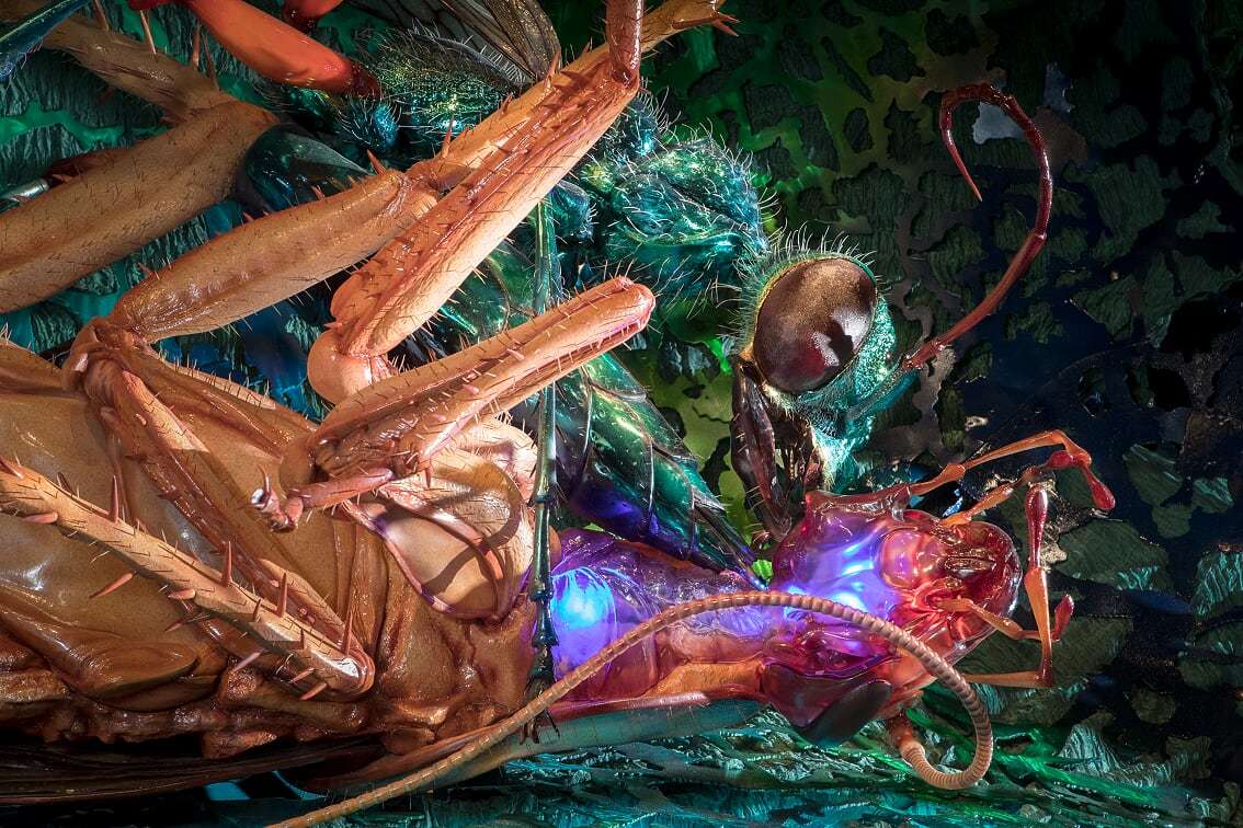 Larger-than-life Insects Invade Charlotte - Discovery Place Museums