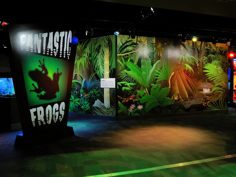 Hop over to Discovery Place Science and explore Fantastic Frogs ...