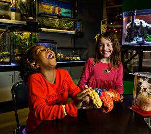 Memberships - Discovery Place Museums