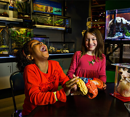 Memberships - Discovery Place Museums