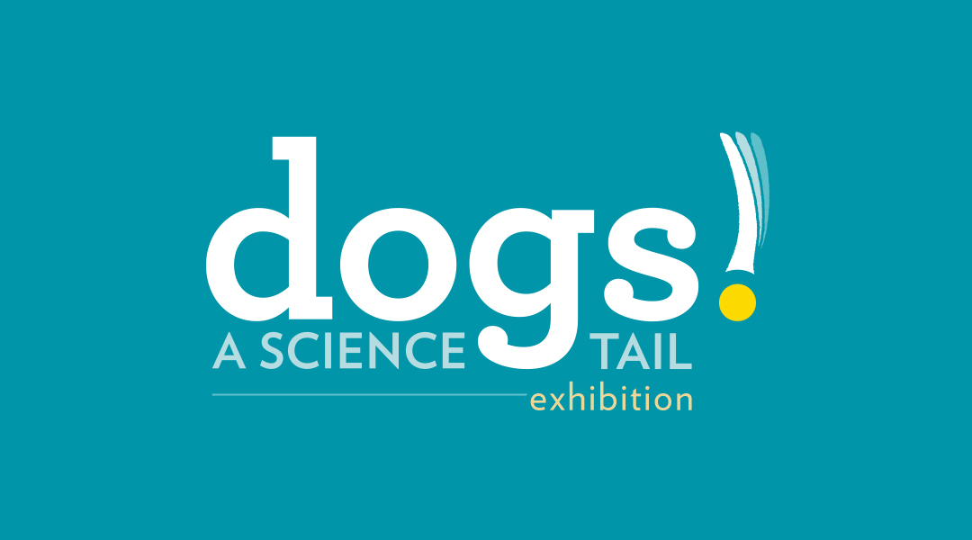 Dogs! A Science Tail Opens at Discovery Place Science February 3 ...