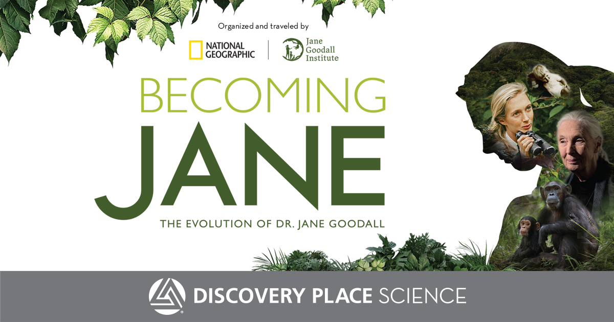 Discovery Place Science to Open “Becoming Jane,” an Interactive ...