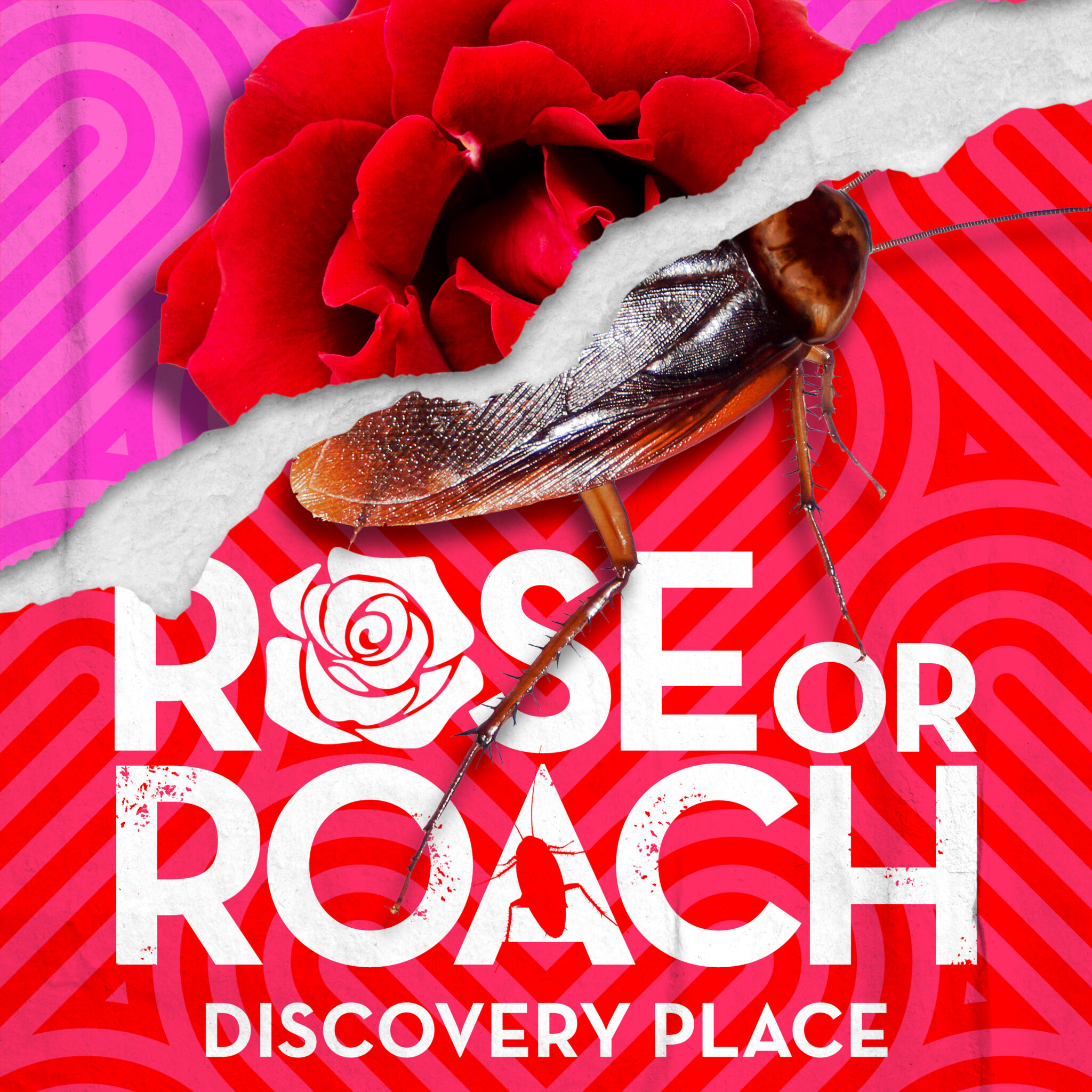 Name a Roach or Dedicate a Rose to Support Discovery Place’s Animals ...